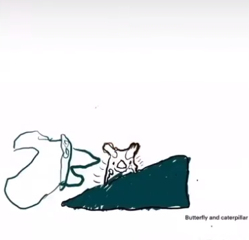 Adorn Slider | Calvary Chapel Modesto